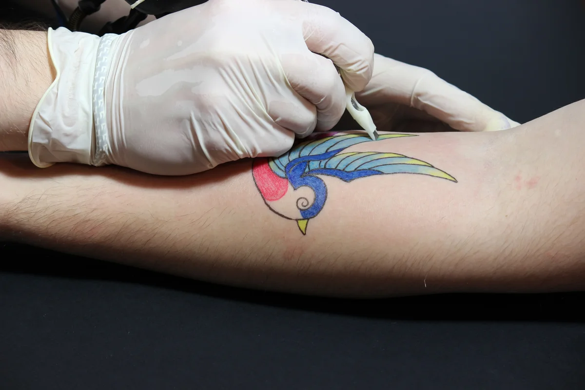 Traditional Sailor Tattoos: The Meaning of the Swallow