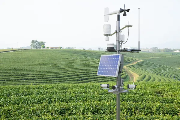 Your Guide to the Best Home Weather Stations