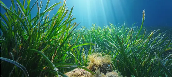 20 tips for a safe sailing holiday in the Mediterranean Sea