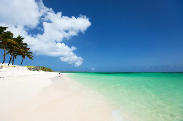 Praias De Anegada ANEGADA, O TESOURO SECRETO DAS ILHAS VIRGENS