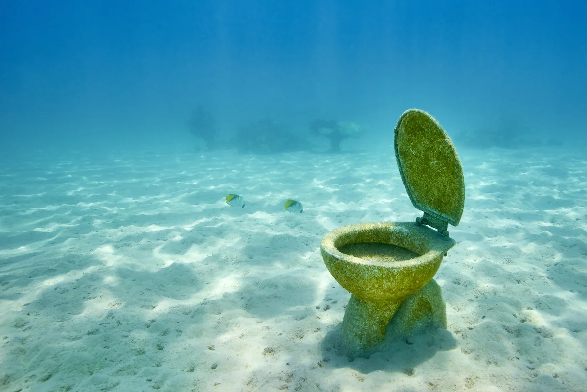 Guide to unclogging a boat's black water tank