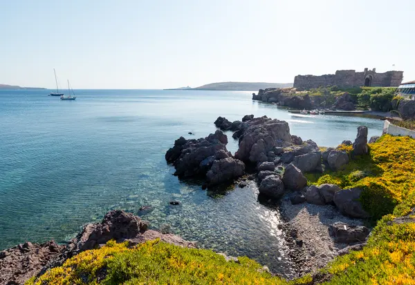 Discover the island of Lesvos!