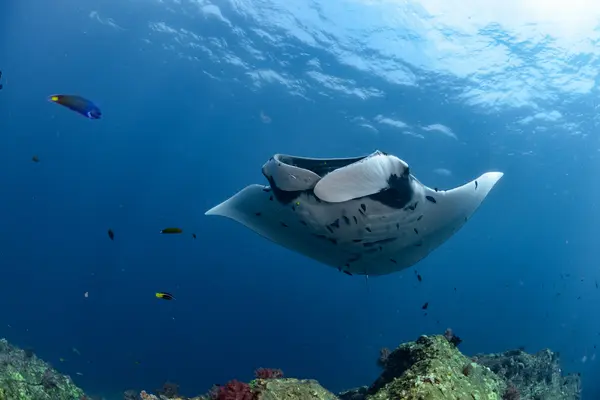 Jedrenje i ronjenje na Tajlandu: 11 najboljih mjesta